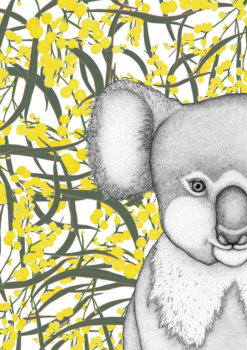 Kenneth the Koala with Wattle- BUSHFIRE APPEAL – Dots by Donna