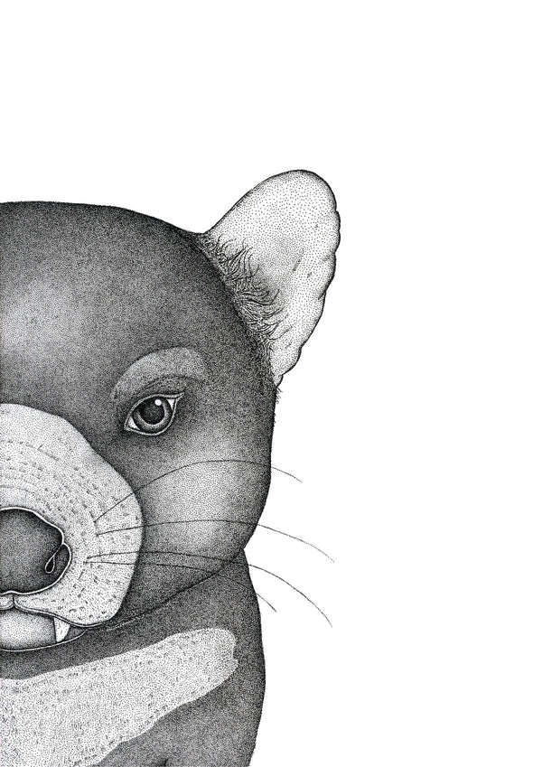 Tassie the Tasmanian Devil - Dots by Donna