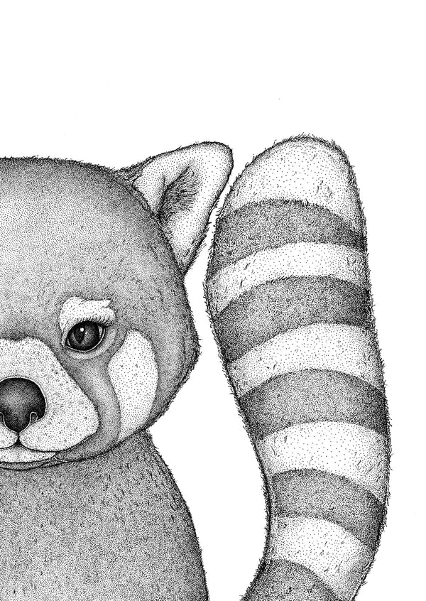 Original Rafi the Red Panda - Dots by Donna