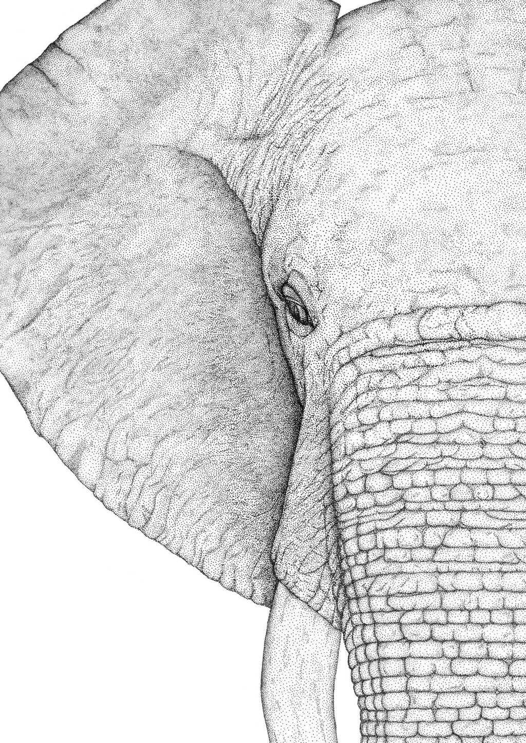 Ethan the Elephant - Left – Dots by Donna