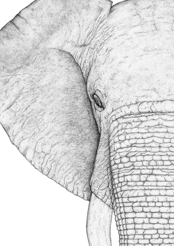 Ethan the Elephant - Left – Dots by Donna