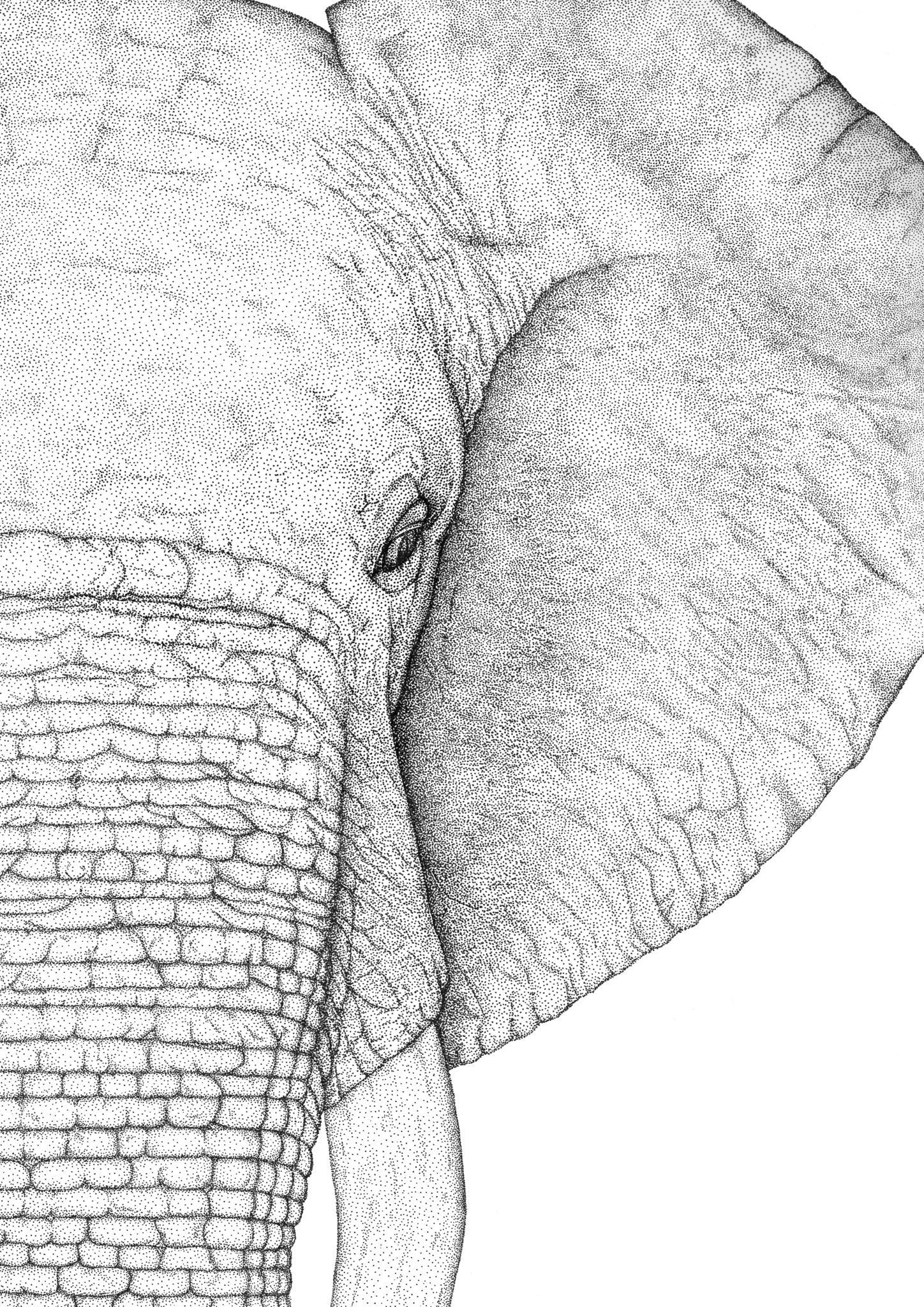 Ethan the Elephant - Right – Dots by Donna