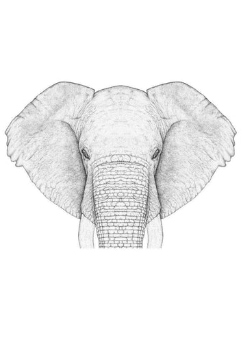 Ethan The Elephant - Full Face – Dots by Donna