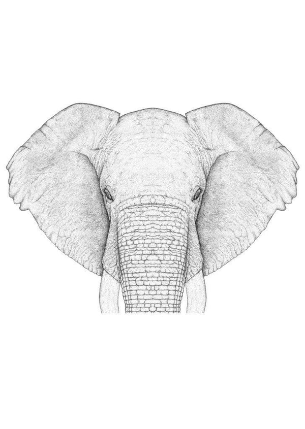 Ethan The Elephant - Full Face - Dots by Donna