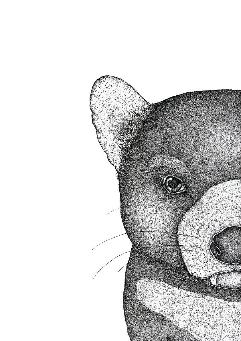 Original Tassie the Tasmanian Devil – Dots by Donna