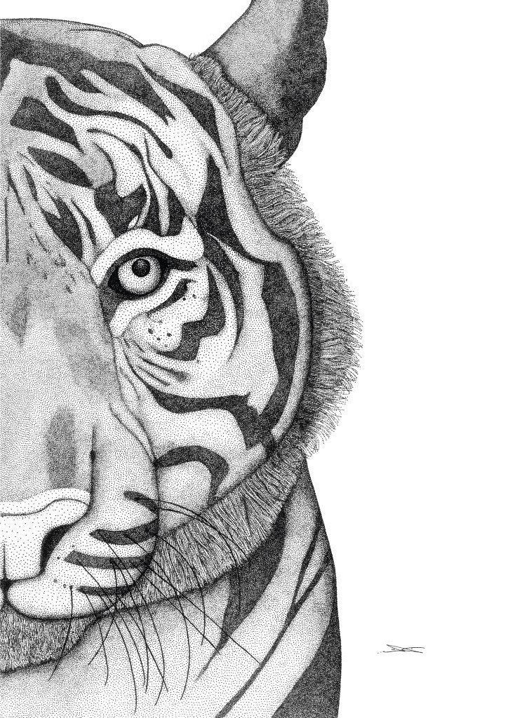 Timothy the Tiger - Dots by Donna