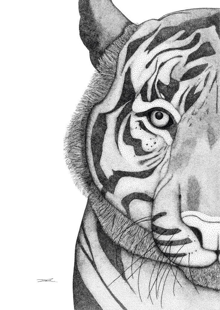 Original Timothy the Tiger - Dots by Donna